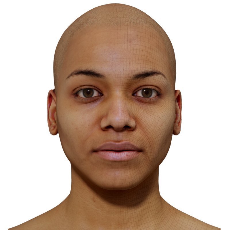 Female 3d Model Retopologised Head Scan 06